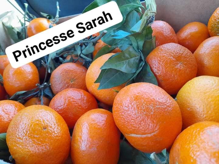 Click & Collect Princesse Sarah | Votre commande à Saint Dizier